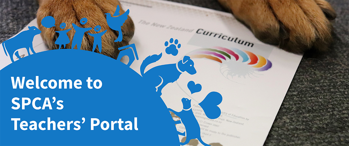 Animal Care Education for School Teachers | SPCA Education