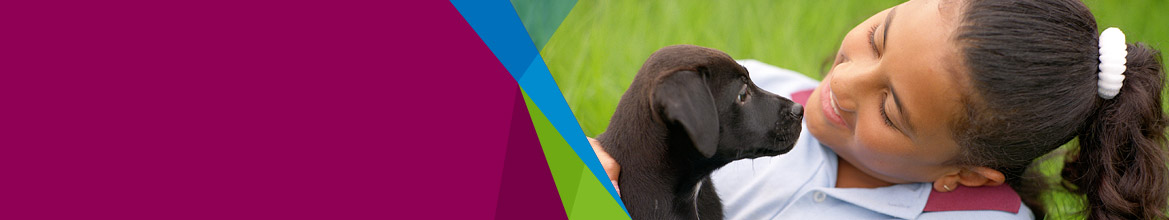 Animal Care Education for School Teachers | SPCA Education